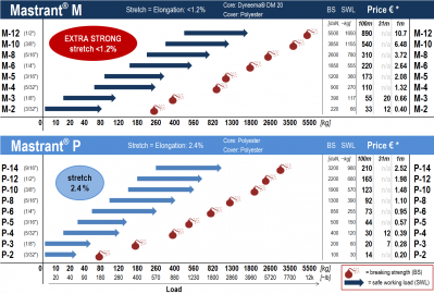 Mastrant - Guy ropes
